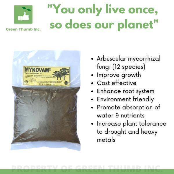 MYKOVAM/MYKOCAP biofertilizer mycorrhizal (All types of plants except ...
