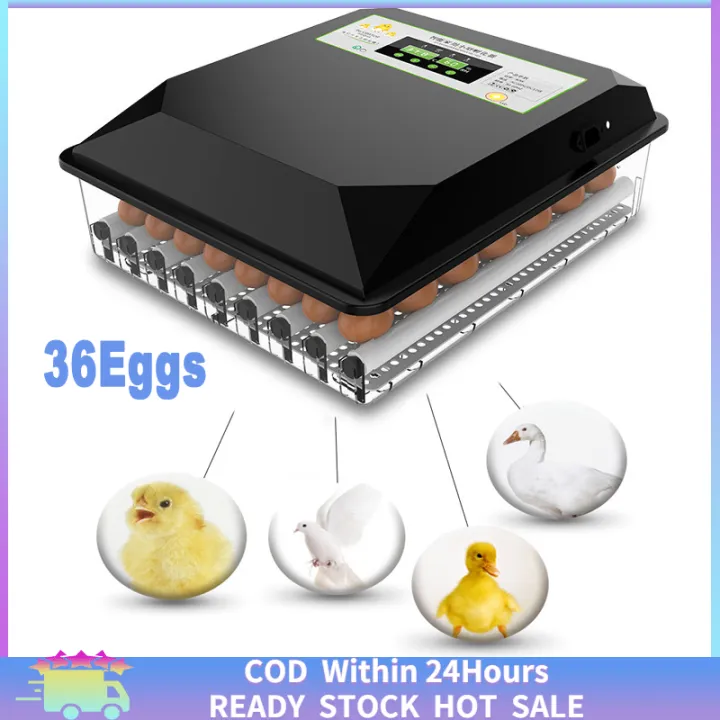 220V Automatic Egg Incubator 36 Eggs Poultry Hatcher With Automatic Egg Turning and Temperature ...