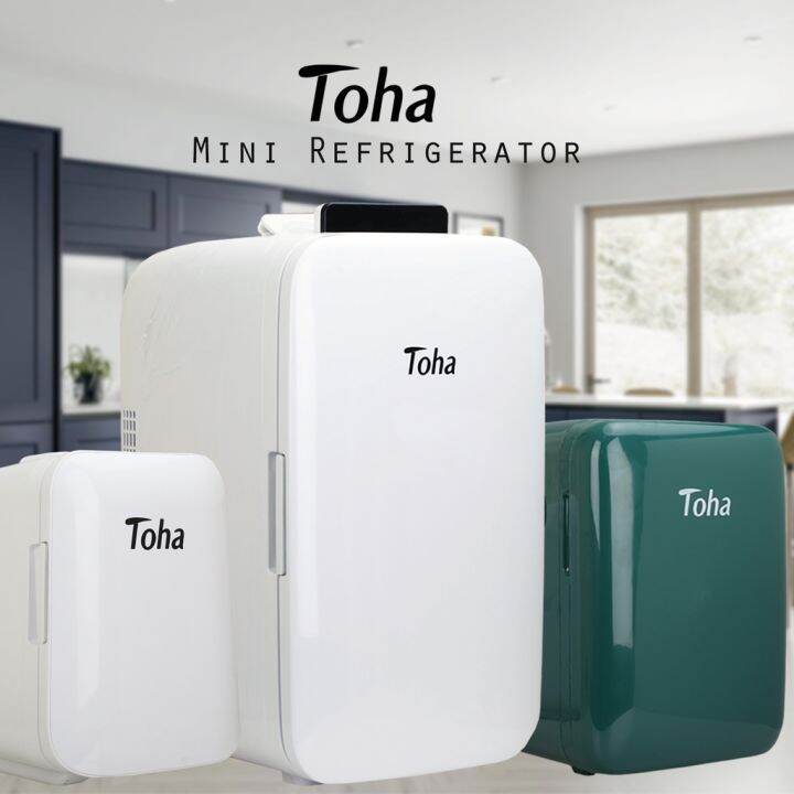 dsafergf562 Toha Refrigerator Ref House and Car Use 4l10l22l Beauty ...