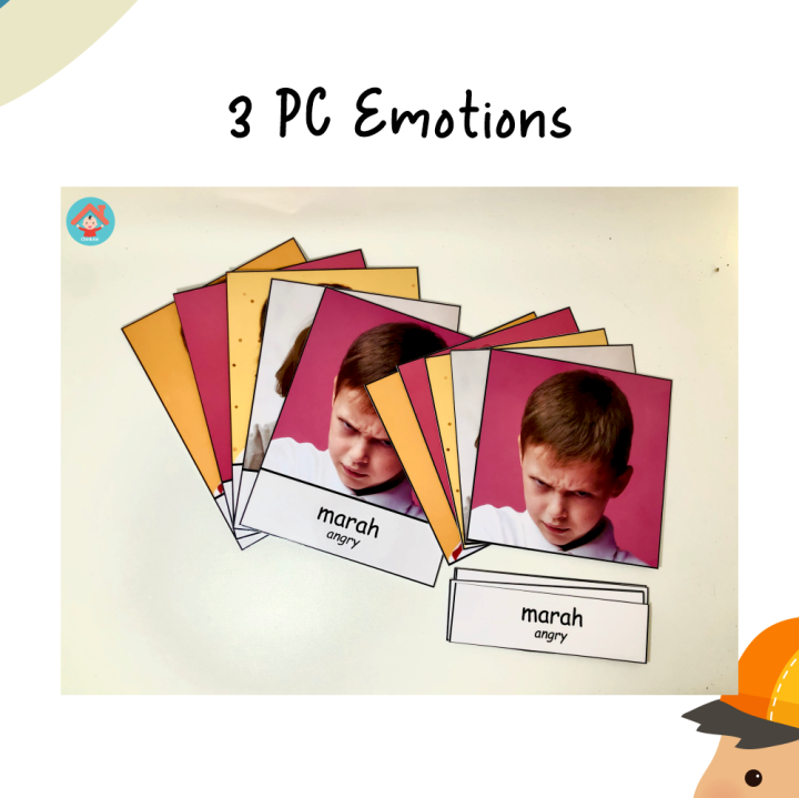 Montessori three part cards emotions Belajar Mengenal Emosi | Lazada ...