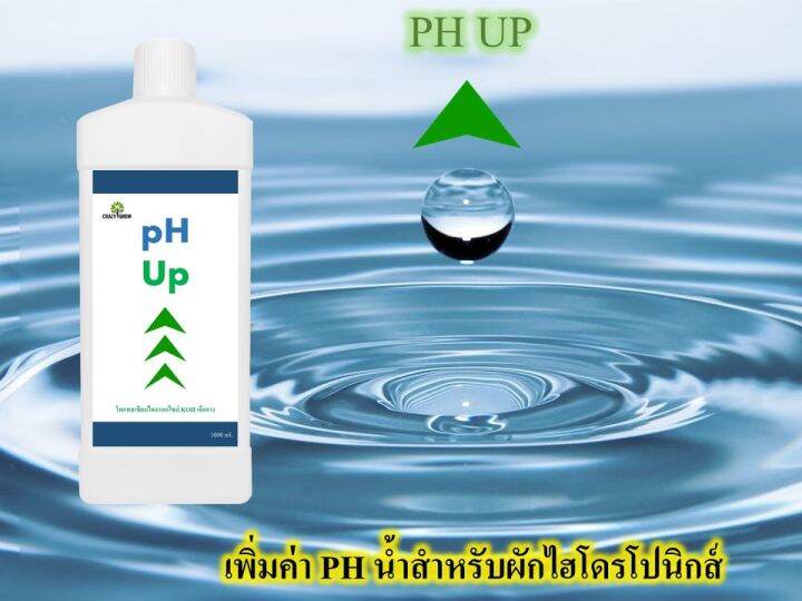 PH UP ขนาด 1 ลิตร สำหรับ เพิ่มค่า ph น้ำผักไฮโดรโปนิกส์ | Lazada.co.th