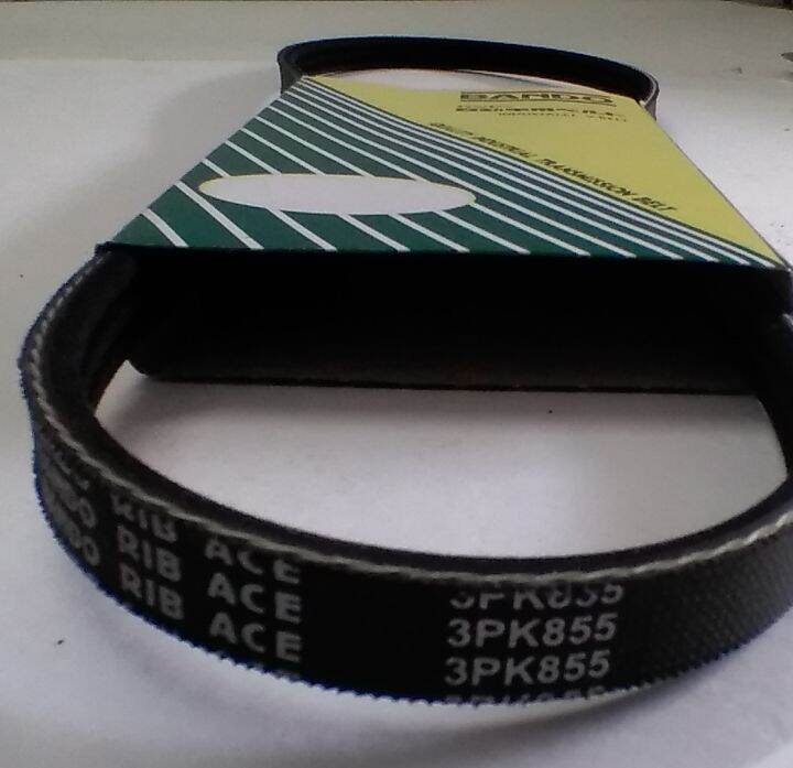 Rib Ace Belt 3pk 855 Power Steering Belt For Nissan Sunny 1 6 2001 1 6