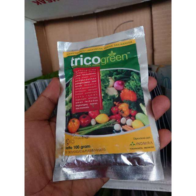 Bakteri Trichoderma TRICO GREEN 100gr | Lazada Indonesia