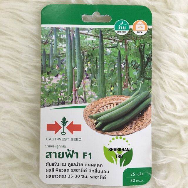 Mini Pack 25 Seeds SAI FAH F1 Biji Benih Petola Ular F1 Hybrid Luffa ...