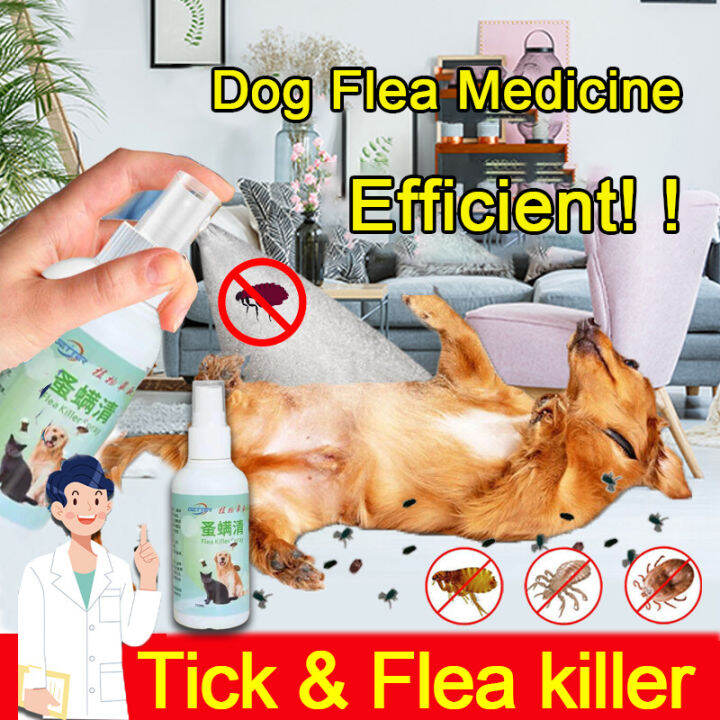 New Product Pet Skin Treament Spray Tick and Flea Spray for Dogs ...