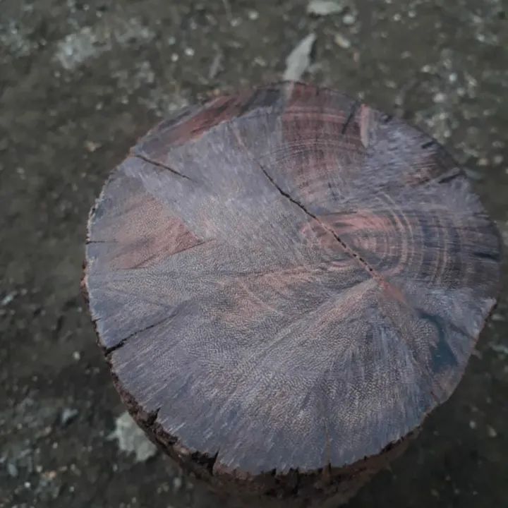 bahan kayu galih asem gandul full galih 1kg gram | Lazada Indonesia