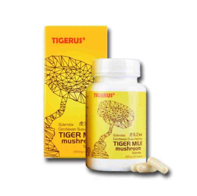 Tigerus Tiger Milk Mushroom Capsules /Holla Tiger milk Mushroom with ...