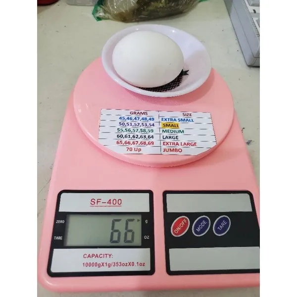 colored digital egg scale size guide chart | Lazada PH