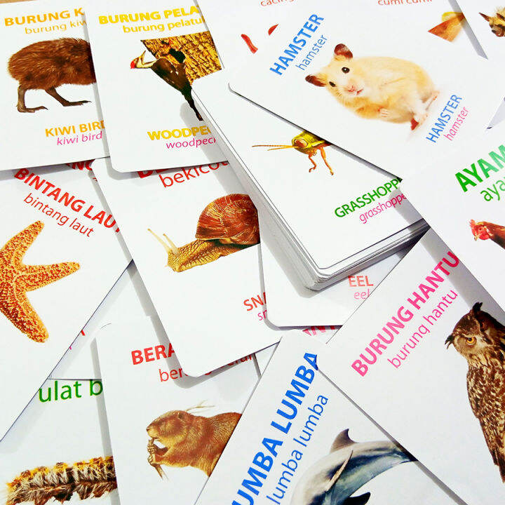 FLASH CARD ANAK TEMA HEWAN KARTU 2 BAHASA INDONESIA DAN INGGRIS ...