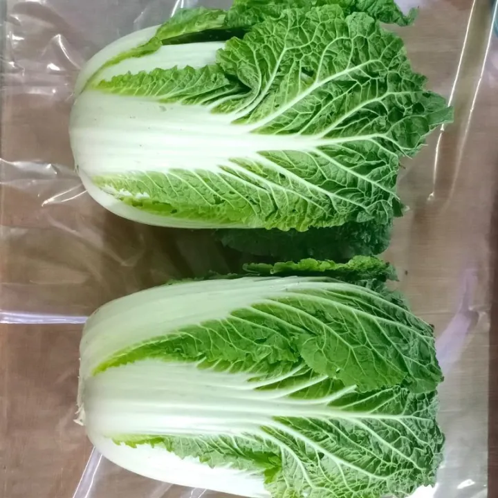 Sayur Sawi Putih Segar | Lazada Indonesia