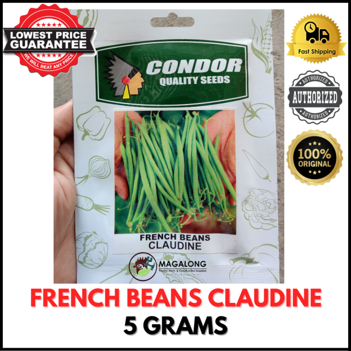 CONDOR SEEDS - FRENCH BEANS SEEDS - CLAUDINE 5 Grams | Lazada PH