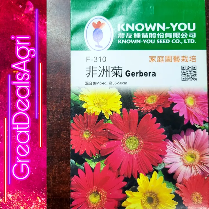 GERBERA MIXED OPV SEEDS F-310 (10 SEEDS) KNOWN-YOU | Lazada PH
