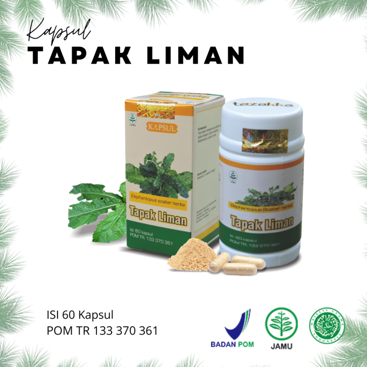Tazakka Kapsul Daun Tapak Liman Original Halal BPOM Isi 20 Capsule Obat ...