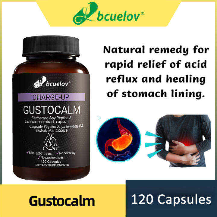 Stomach Supplement - Improve Stomach Environment, Improve Intestinal ... Stomach Supplement - Improve Stomach Environment, Improve Intestinal ...