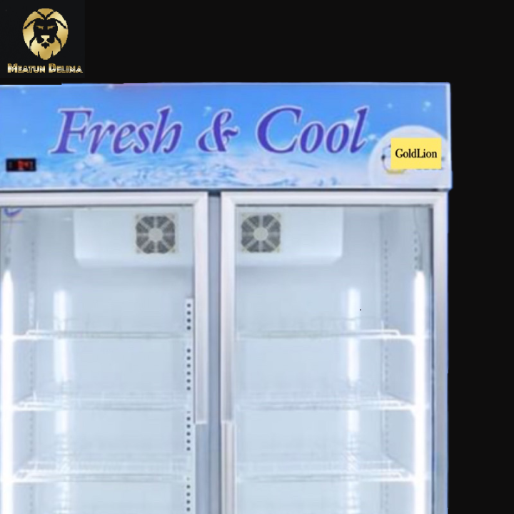 2 Door Chiller Coolman | Lazada