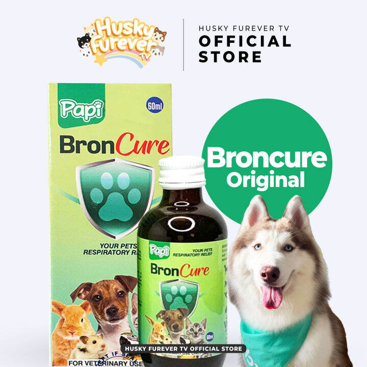 Papi Broncure for Cough/Respiratory Infection for Dogs and Cats | Lazada PH Papi Broncure for Cough/Respiratory Infection for Dogs and Cats | Lazada PH