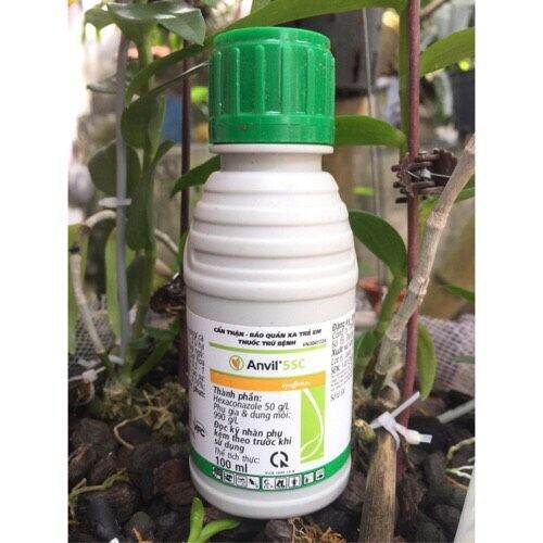 Thuốc trừ nấm bệnh Anvil 5SC chính hãng Syngenta (100ml) | Lazada.vn