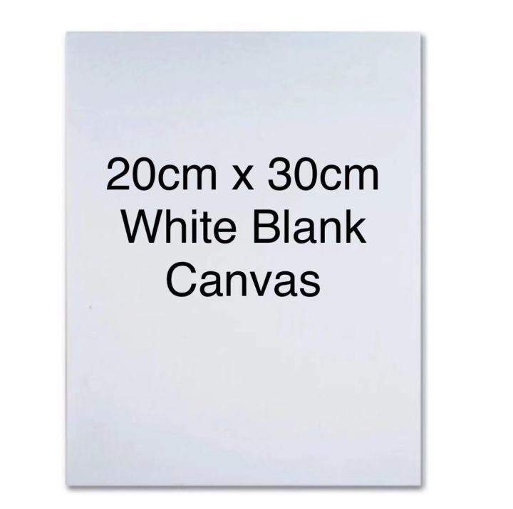 White Blank Square Canvas 20cm x 30cm Art Board Wooden Frame For Art Artist Oil Acrylic Paints ...