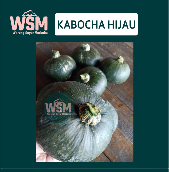 KABOCHA HIJAU SEGAR DAN BERKUALITAS | Lazada Indonesia
