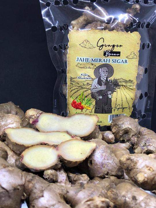 Fresh Red Ginger / Jahe Merah Segar | Lazada Indonesia