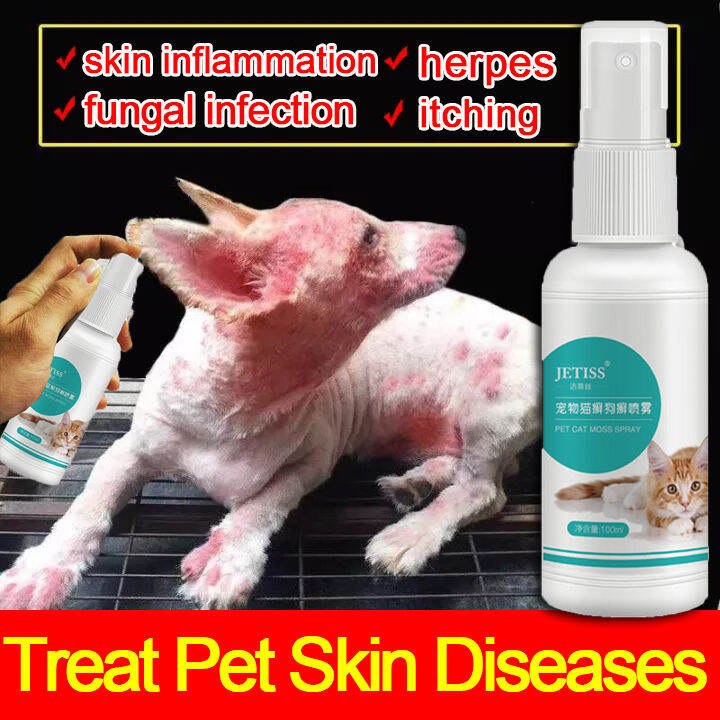 [Safe and Lickable] Dog Spray for Skin Allergy Tick and Flea Spray ...