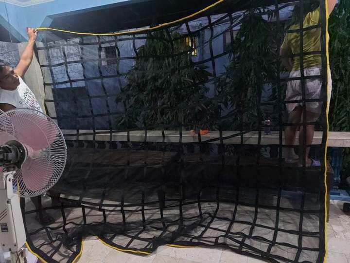 Spider Cargo Net 8x8 Feet For Toyota Hilux Military Belt Strap | On ...