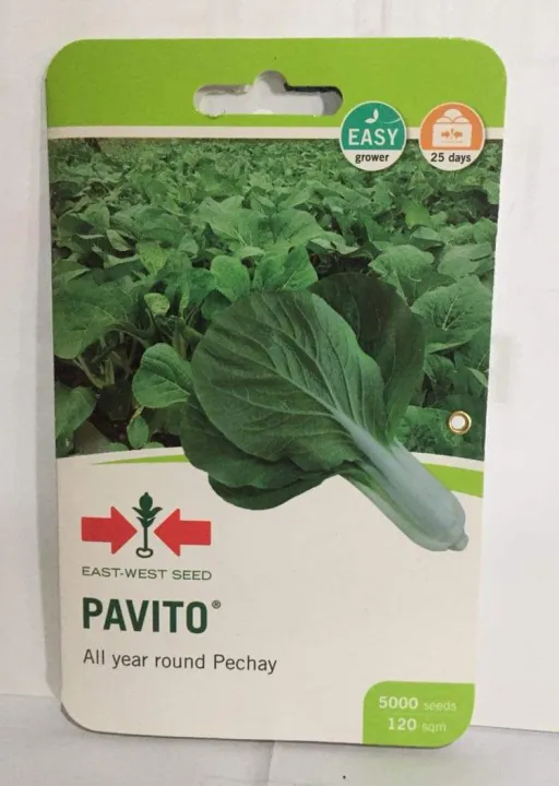 Pechay Pavito small pouch- (East West Seed) | Lazada PH