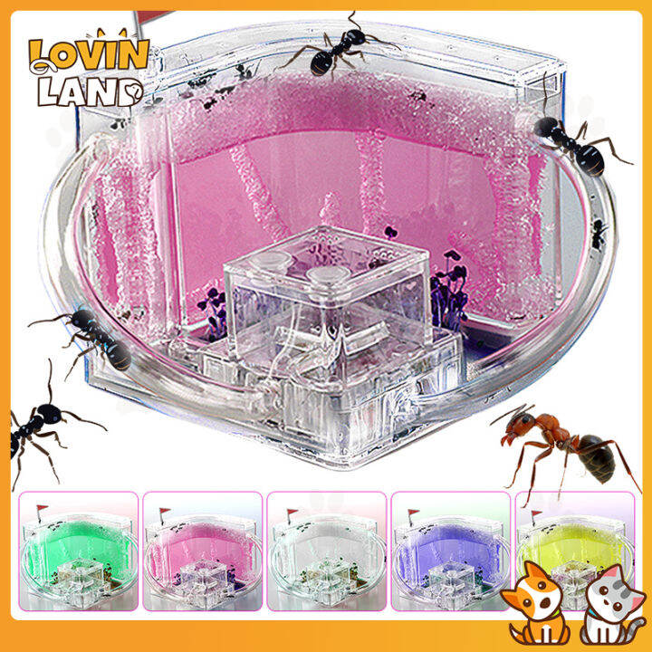 Lovinland Ant Farm Castle Ant Habitat Science Learning Kit Educational ...