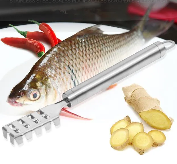 Stainless Steel Manual Fish Scale Scraping Squid Seafood Tool | Lazada PH