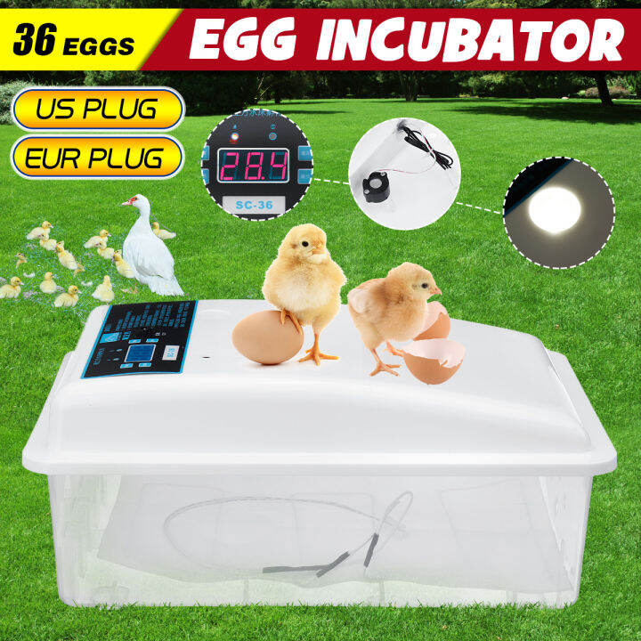 Egg Incubator Automatic Automatik Digital 36 Telur Beralih Inkubator ...