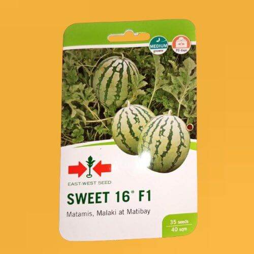 East West Sweet 16 F1 - Watermelon Seeds | Lazada PH