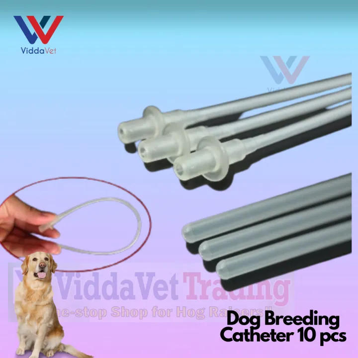 10 pcs Artificial Insemination Rods Catheter for Dog Goat Dog Breeding ...