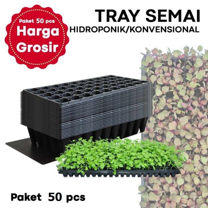 Tray Semai / Seeding Tray / hidroponik Untuk Penyemaian paket 50 pcs ...