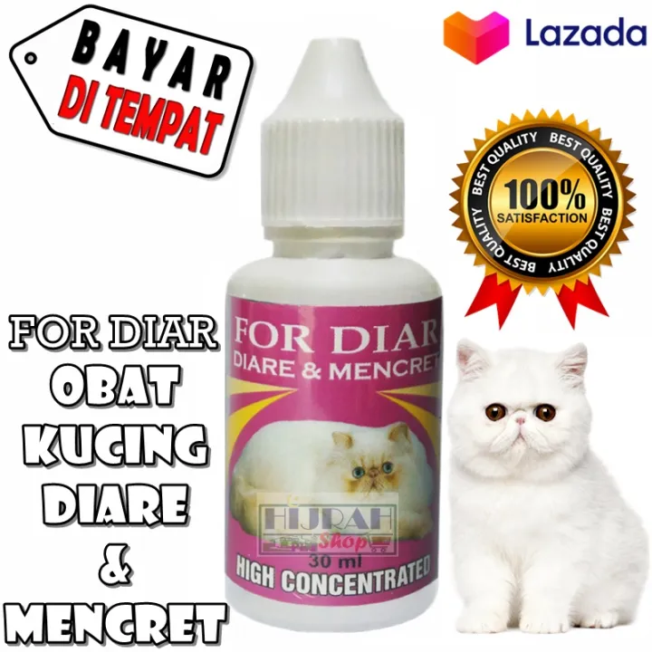 Obat Kucing Obat Diare Kucing Obat Mencret Kucing Infeksi Saluran ...