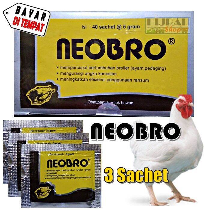 Obat Ayam Vitamin Ayam Suplemen Ayam Mempercepat Pertumbuhan Ayam ...