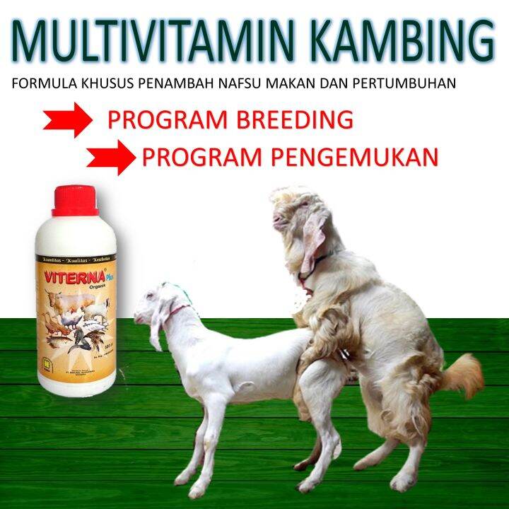 VITAMIN untuk ternak kambing /paket Obat ternak kambing /obat cacing ...