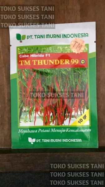 Benih Cabe TM THUNDER 99 dari Tani Murni Indonesia .isi 10 gram ...