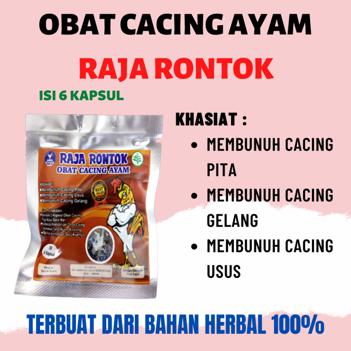 OBAT CACING AYAM RAJA RONTOK EFEKTIF MEMBUNUH SEMUA JENIS CACING AYAM ...