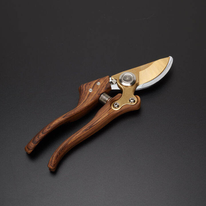Wood Grain Garden Tools, Stainless Steel Pruning Scissors, Stainless ...