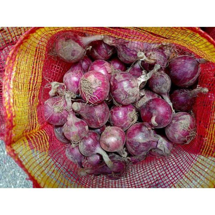 SIBUYAS NA PULA (LOCAL RED ONION) | Lazada PH