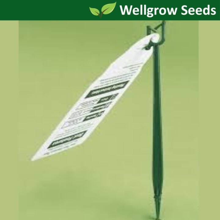 Plant Tag Label Pokok : Info Stick 30 pcs | Lazada