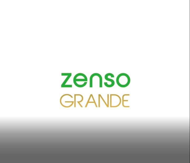 Zenso Grande Switches & Sockets - Hairline Black Color | Lazada