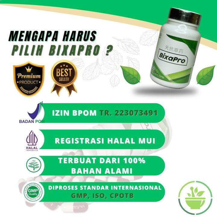 BixaPro Herbal Modern Obat stroke ringan Stroke berat Mati sebelah ...