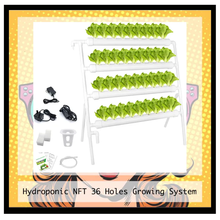 (พร้อมส่ง) KIT Set Hydroponic NFT 36 Holes Growing System with Special ...