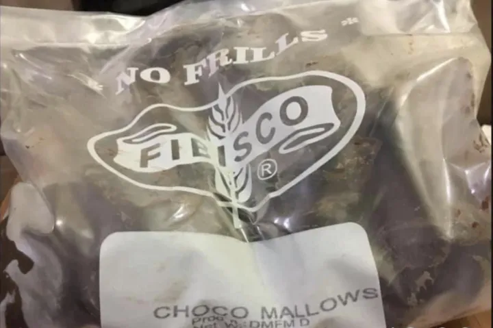 Fibisco Choco Mallows | Lazada PH