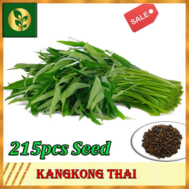 Kangkong Thai Seeds | Kangkong Seeds | Vegetables seeds | Golden Plant ...