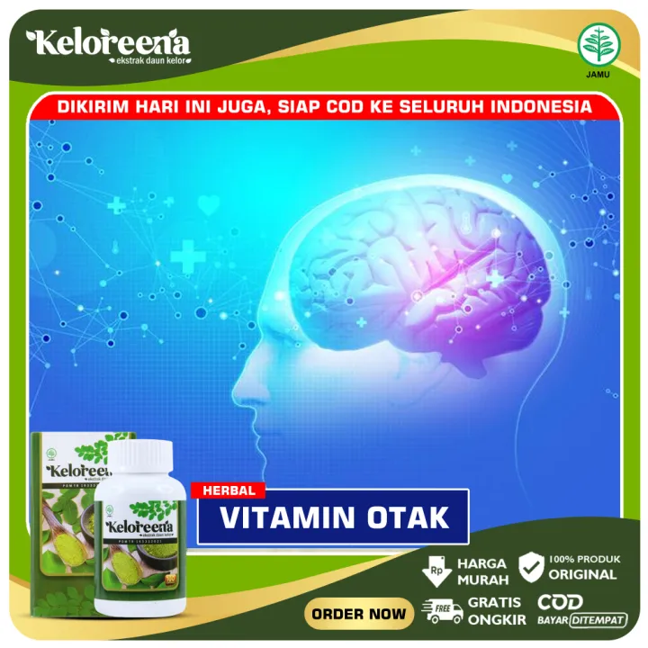 Vitamin Penambah Daya Ingat, Meningkatkan Memori, Menguatkan Daya Ingat ... Vitamin Penambah Daya Ingat, Meningkatkan Memori, Menguatkan Daya Ingat ...
