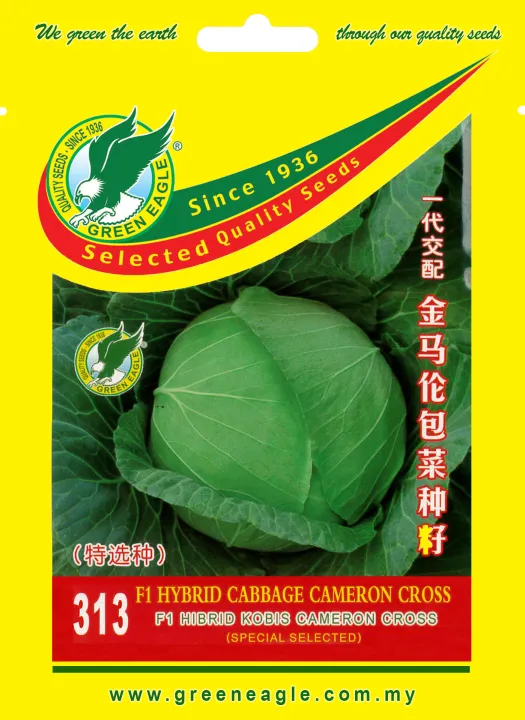BENIH KOBIS HIJAU BESAR CAMERON F1 HYBRID CABBAGE SEEDS BENIH ...