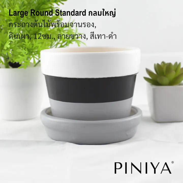 Piniya กลมใหญ่ กระถางต้นไม้ ดินเผา 11ซม ลายขวาง สีดำ, กระถางเซรามิค ...