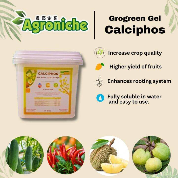 Fertilizer for Flowering (Vegetables, fruits and Plants ) Grogreen Gel ...